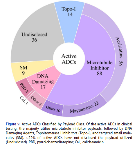 探究ADC的临床格局 - 平头哥