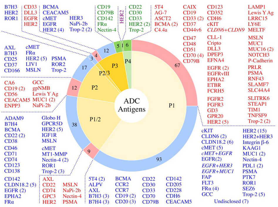 探究ADC的临床格局 - 平头哥